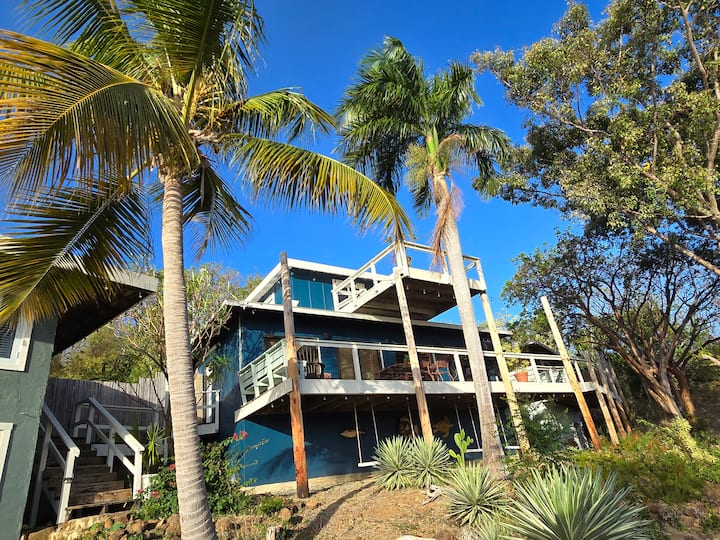 Coqui; Rustic Chic And Magical (Coquita's Sister) - Culebra