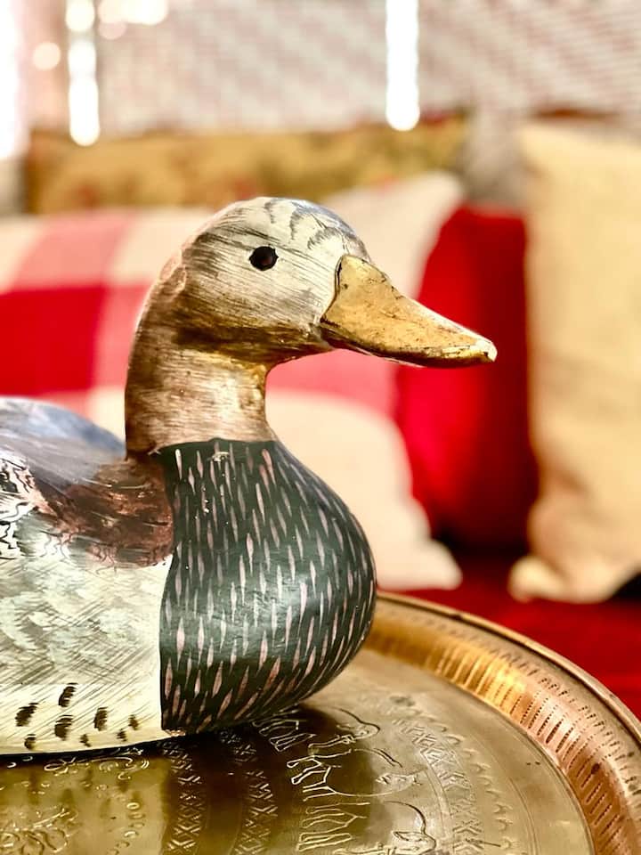 Ducks Country House - Meyerton