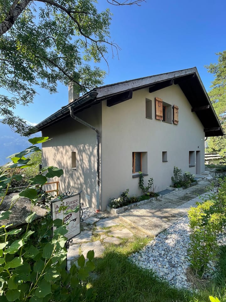 Maison De Charme, 12 Pers, Région Crans-montana - Crans-Montana