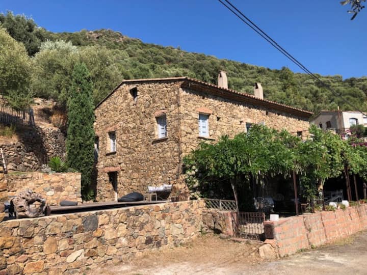 Maison De Village 145m², 3 Chambres, Piscine. - Piana