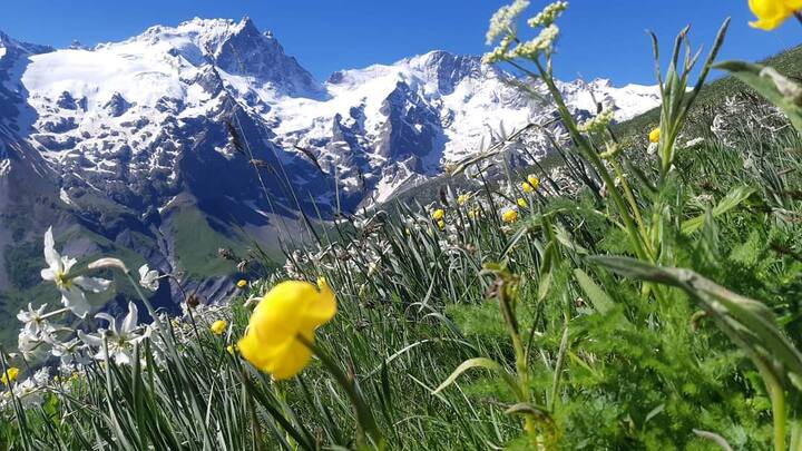 Le Glacier - La Grave