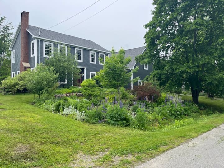 Congress Street Colonial - Belfast, ME