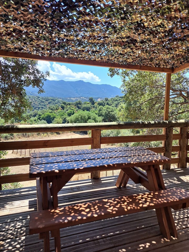 Maison Dans Les Arbres - Corsica