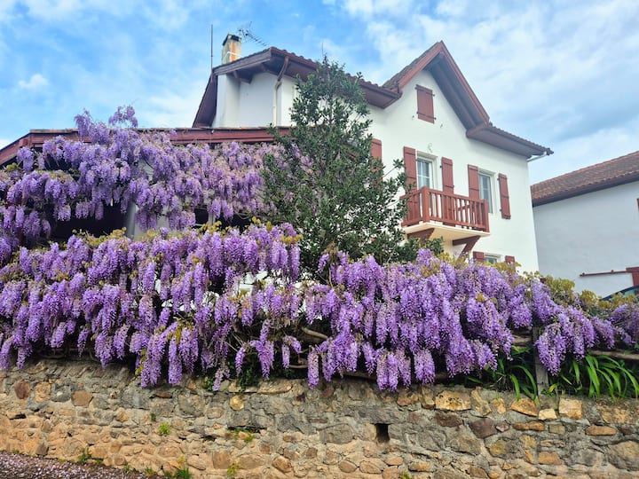 Location Classée 3 * Au Pays Basque - Saint-Étienne-de-Baïgorry