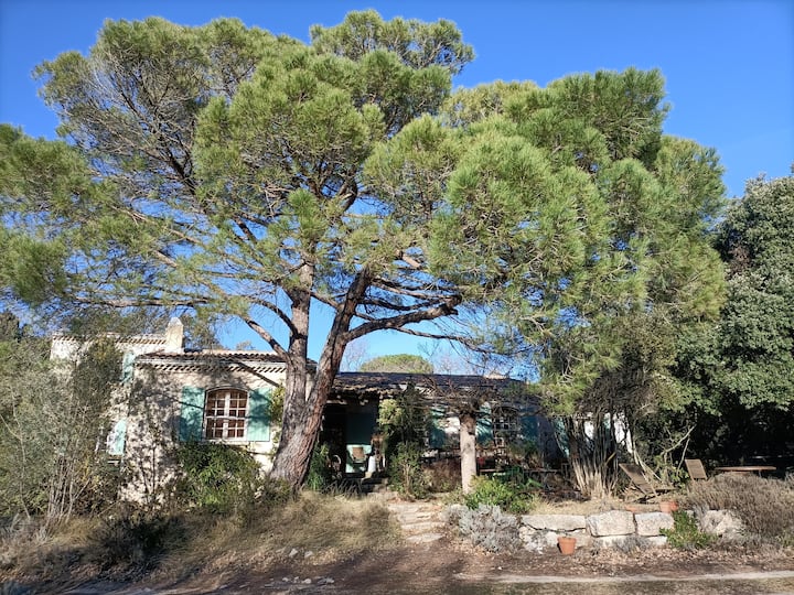 Maison De Campagne En Provence. - Rognes