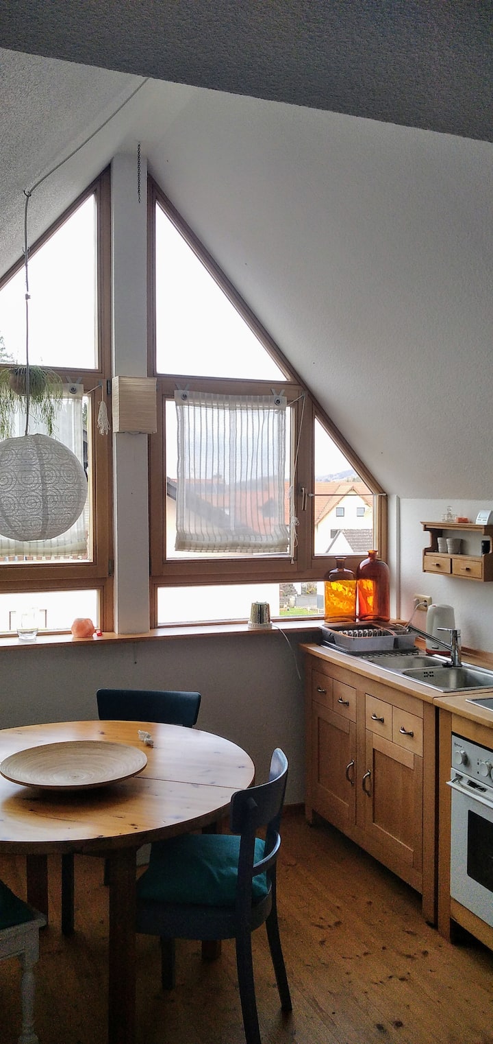 Dachgeschosswohnung Im Grünen - Alzenau