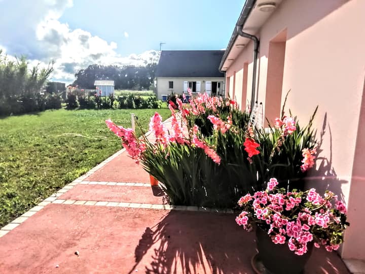 La Maison Rose Logement Avec Terrasse  Jardin - Sainte-Catherine-de-Fierbois