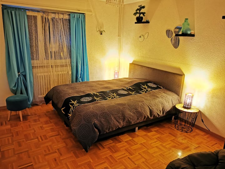 Cosy Room In A Calm Apartment - Lausanne