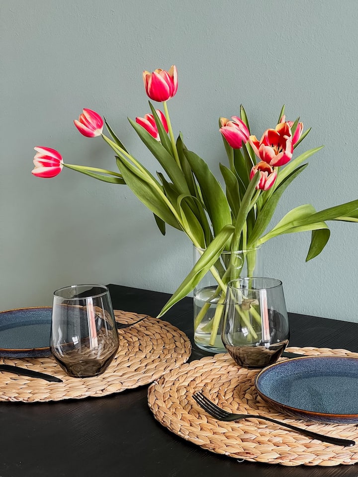 Helles Apartment - Ideal Für Stadt Und Business - Graz