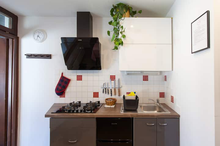 Slopes View Apartment For 2-3 - Kranjska Gora