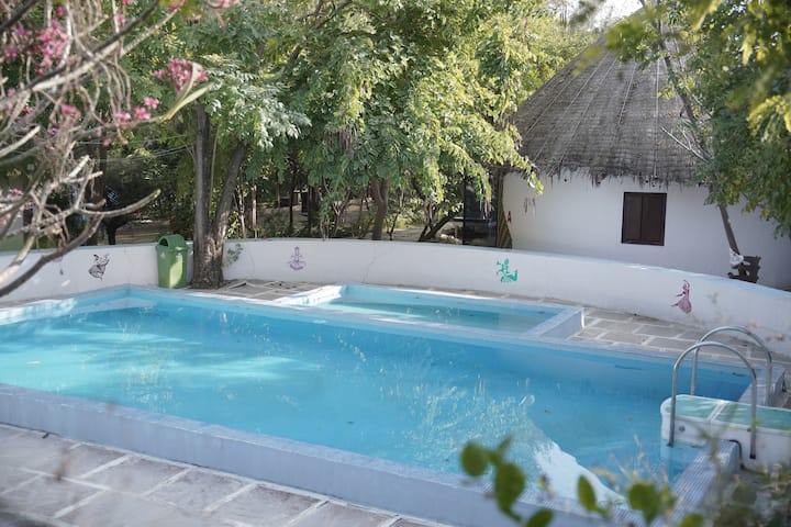 1 Br Art Ecostay | Lake-forest-pool-birds@udaipur - Gujarat