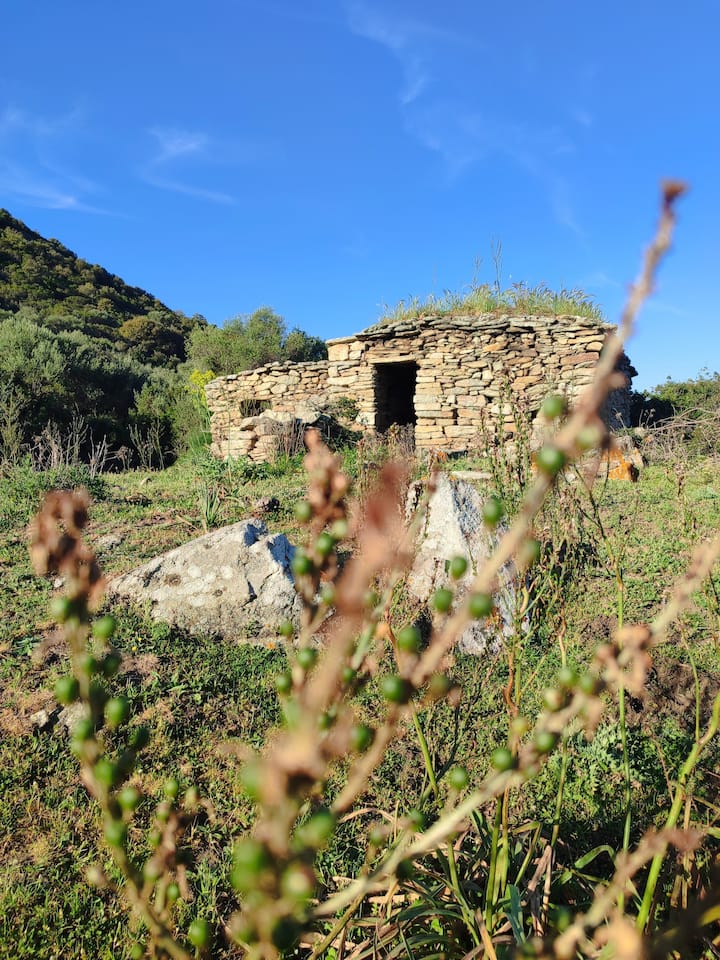 Chambre D'hôtes Chez L'habitant
Mare E Monte - Cap Corse