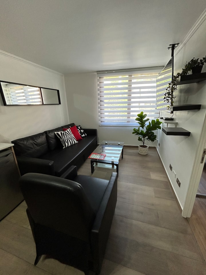 Lastarria Apartment With Air Conditioning. - Santiago