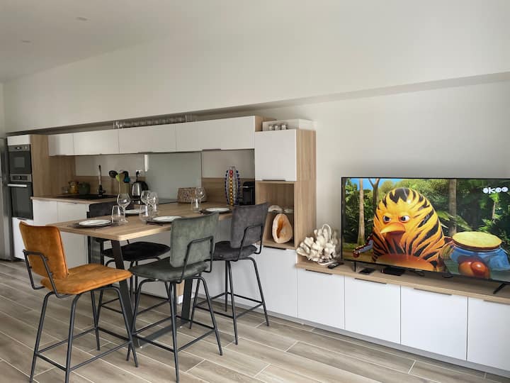 Maison 4ch. 100m2 Cdg Disney  Parc Expo Paris Nord - Val-d'Oise