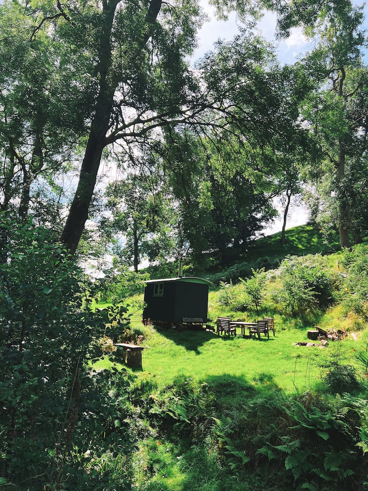 Llwyn Gwyn Shepherd's Hut - Monmouthshire