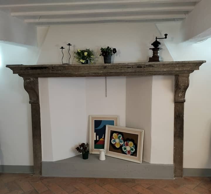 Palazzo Reali Appartamento In Dimora Storica - Pistoia
