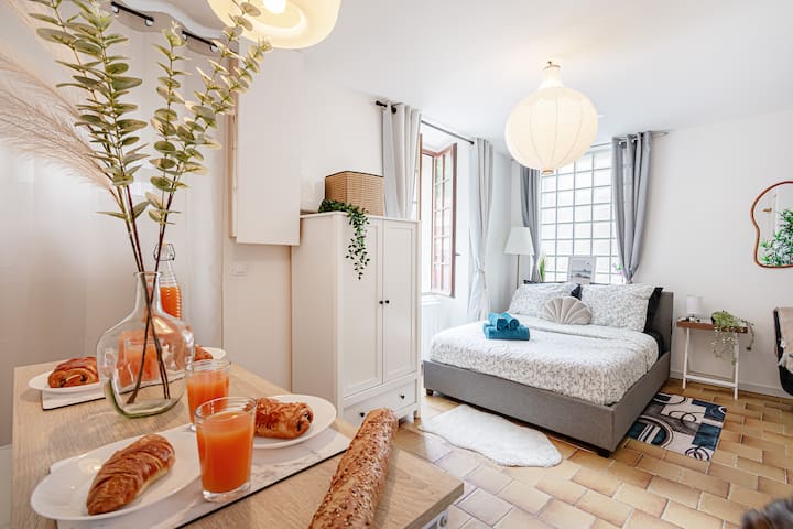 Grand  Studio  Au Rdc/disneyland/ Cdg/asterix Parc - Mitry-Mory