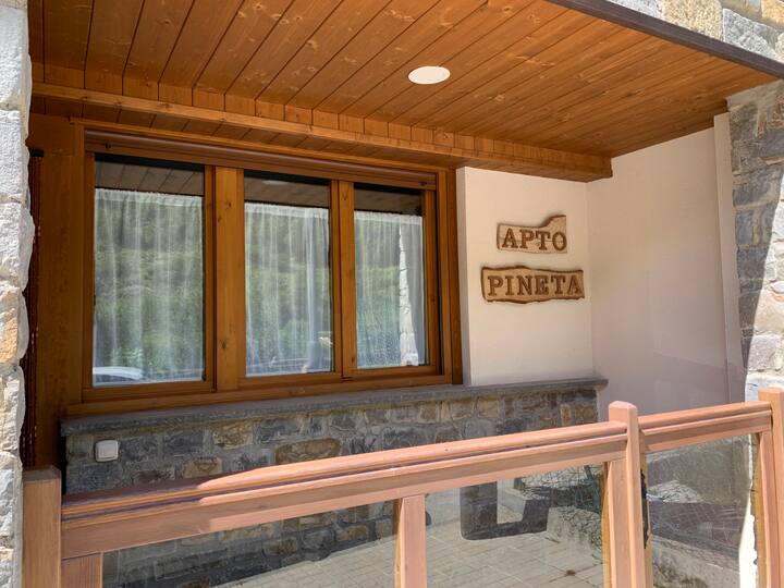 Apartamento Pineta - Bielsa