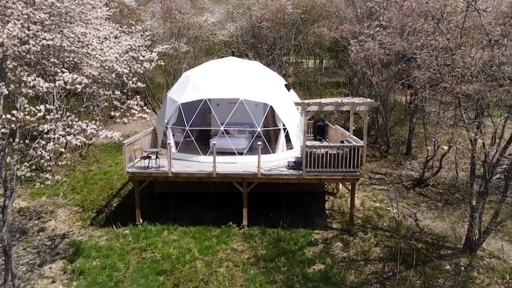 Dome #4, Finback Whale - St. Andrews