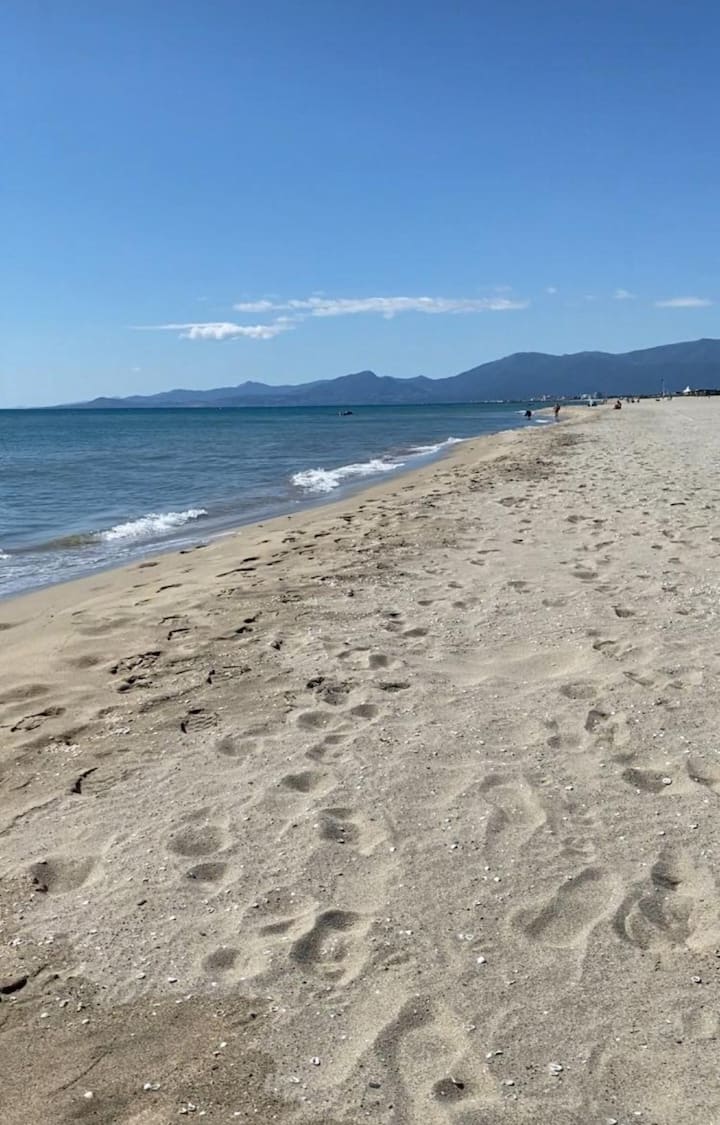 Rez-de-maison Avec Jardin 300m De La Plage - Canet-en-Roussillon