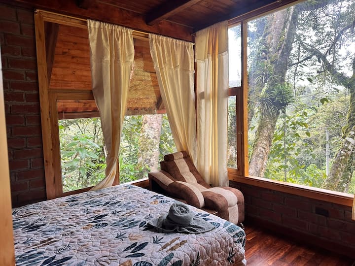 El Encanto De Las Aves: Montaña, Bosque Y Aves - Tungurahua