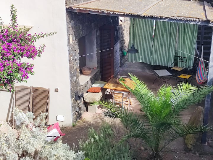 Edera Treottozerotreunoquattrosettedueottotre - Pantelleria
