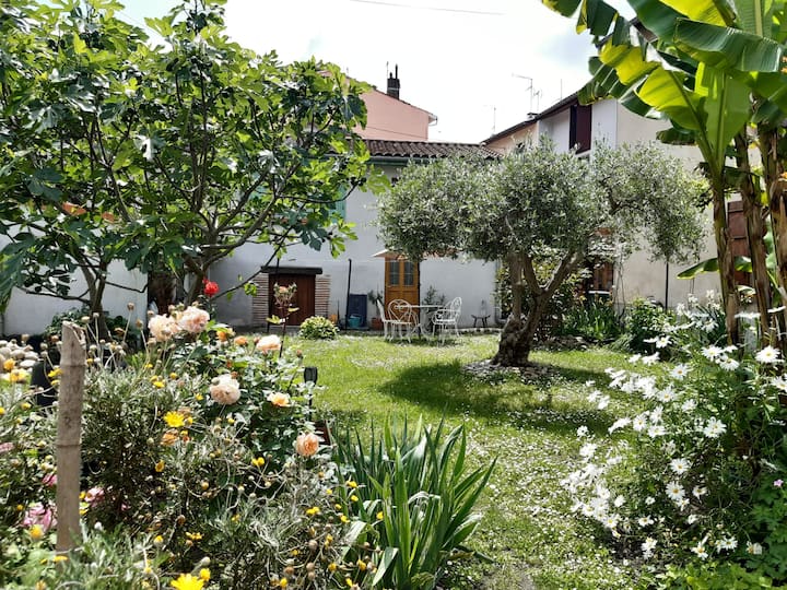 Appartement Tranquille - Pamiers
