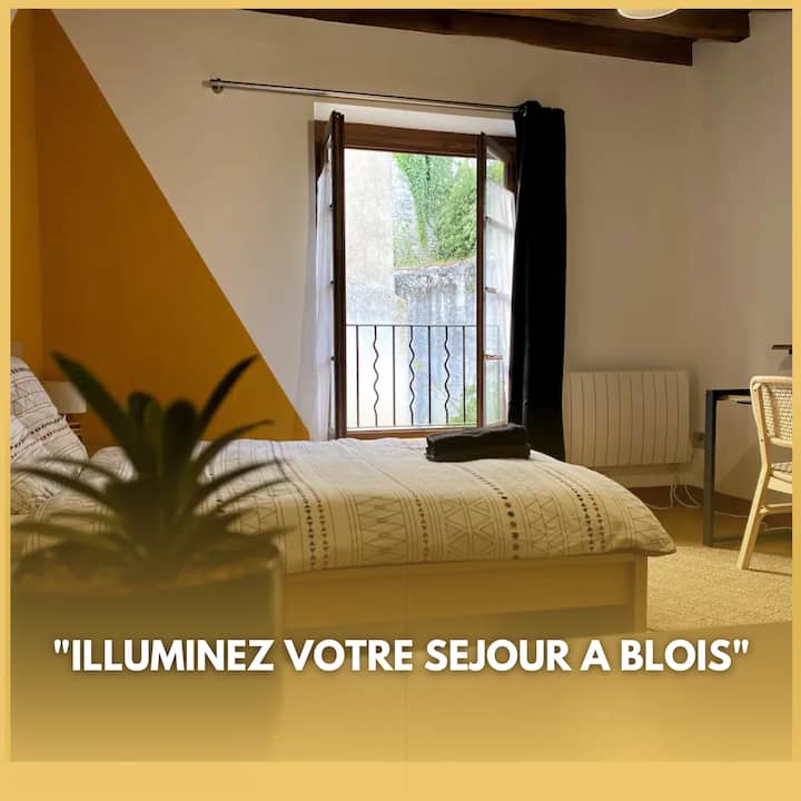 Appartement Du Soleil - Hyper Centre - ibis Styles Blois Centre Gare