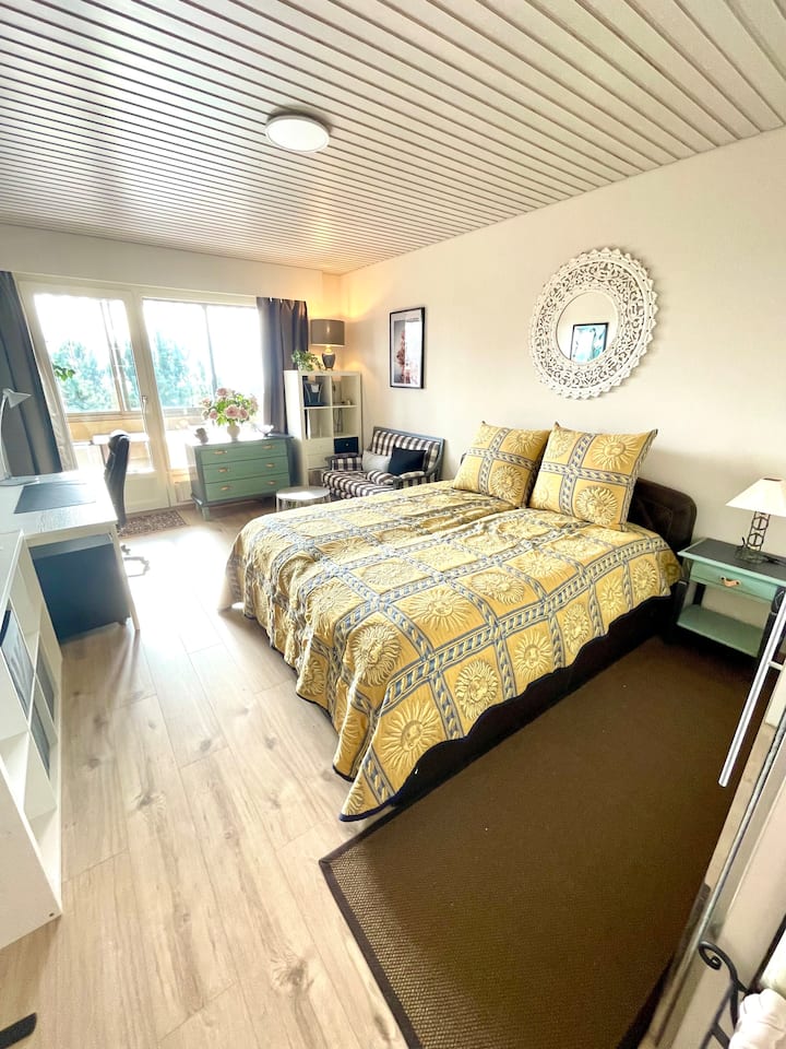 Spacieuse Et éLégante Chambre Epalinges - Lausanne - Lausanne