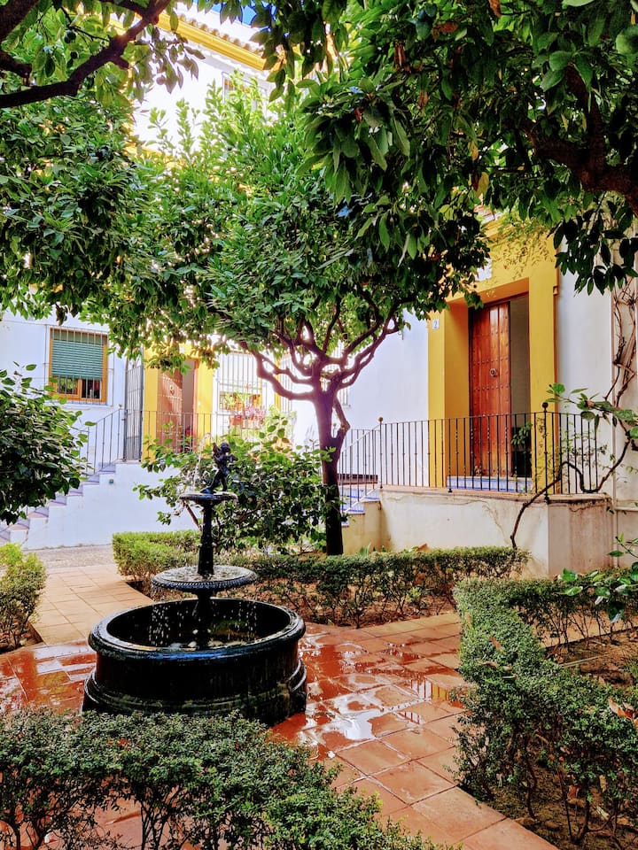 Santa Cruz - Former Jewish Quarter 3 Br 3 Baths - Seville