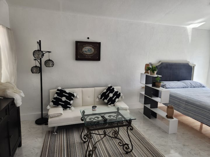 Bright Furnished Studio W/ 2 Patios, Monthly Pref. - San Petersburgo, FL