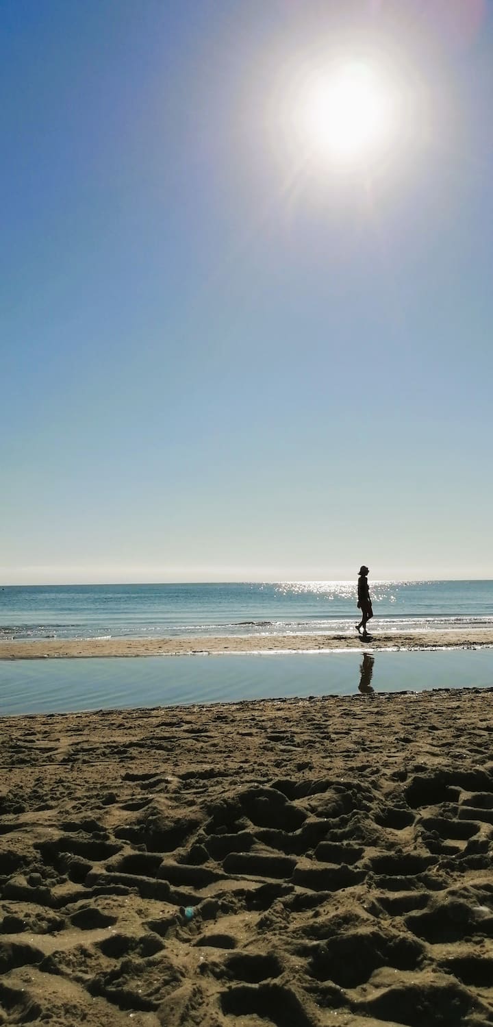 Vacanze In Romagna A Due Passi Dal Mare - Milano Marittima