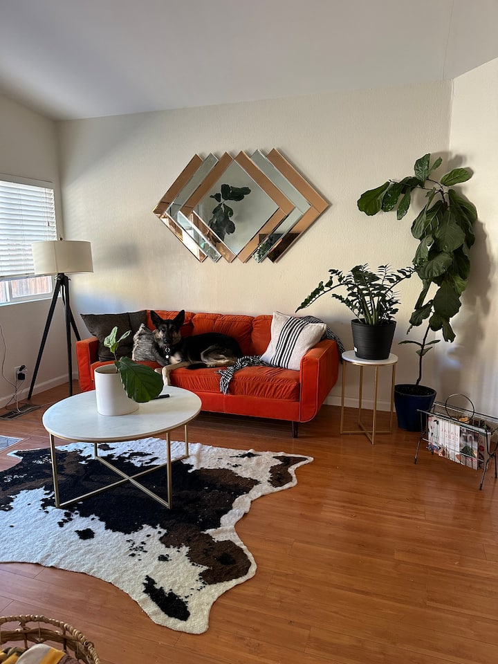 Boho Bungalow - Clean, Cute Vibe - Reno, NV