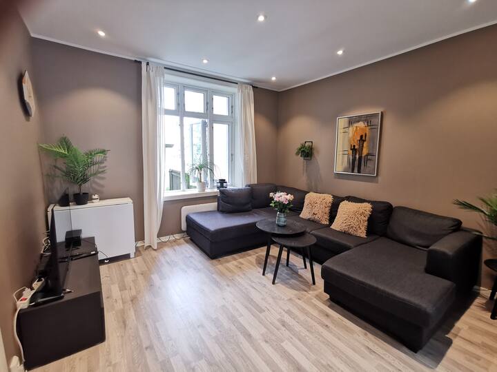 Cozy 2 Bedroom- Apartment In City Center - Bergen
