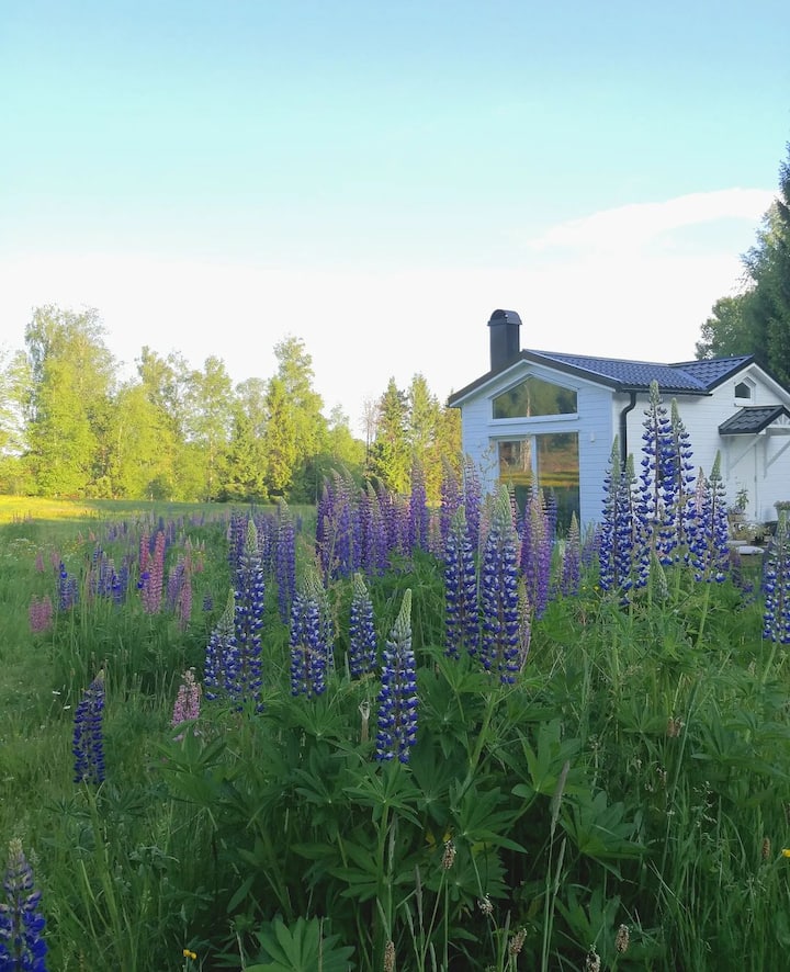 Minihus I Vilda, Vackra Nössemark, Mitt I Naturen - Sweden
