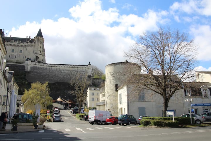 Spacieux Appartement Au Pied Du Château - Saumur