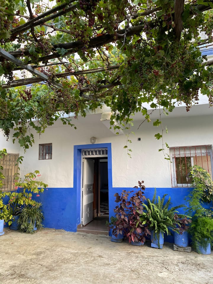 Dar Abdsalam - Akchour