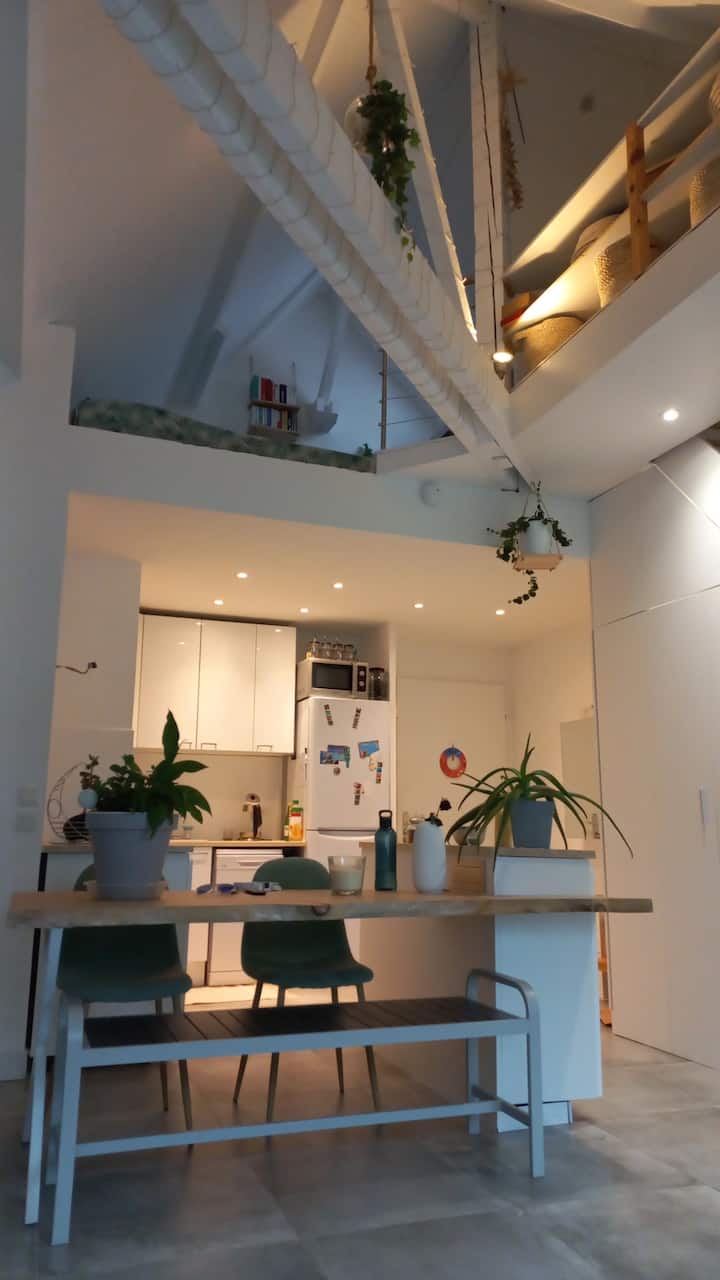 Duplex à Plafond Cathédrale - Château de Thoiry