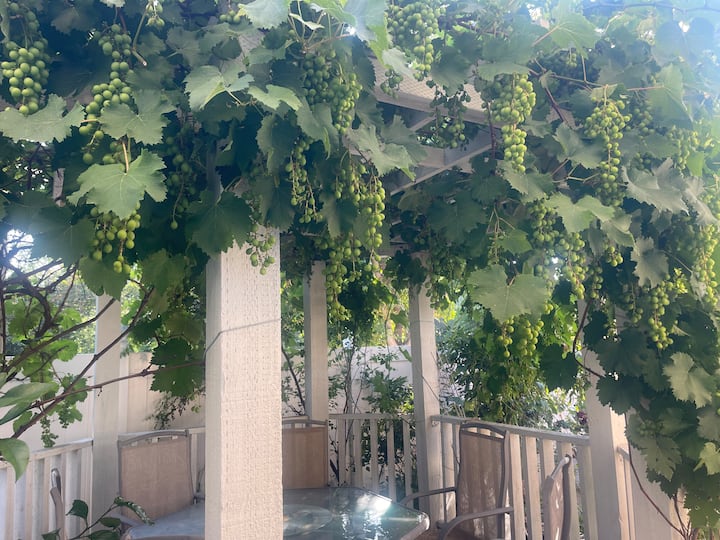 Spacious Pasadena Home | Near Cal Tech & Old Town - Sierra Madre, CA