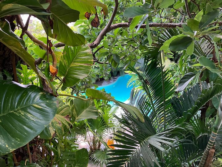 Private Apt In A Tropical Oasis, Neem - Mérida, México