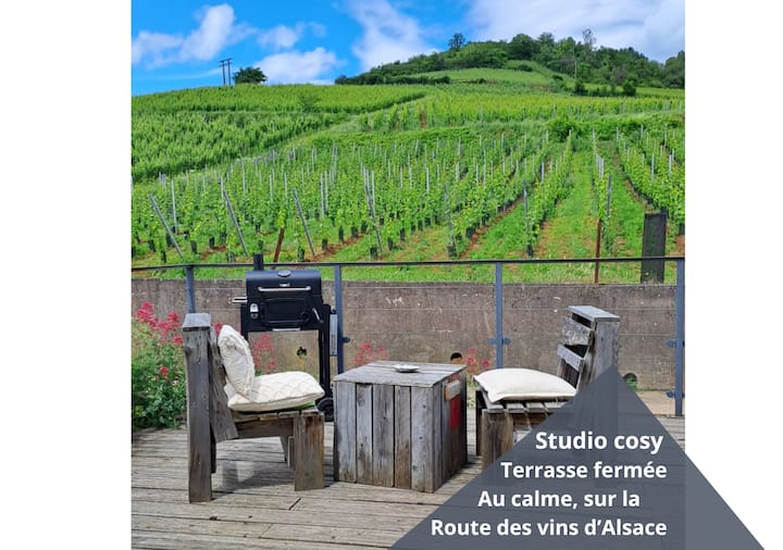 Au Pied Des Vignes, Cocon Douillet Et Chaleureux ! - Riquewihr