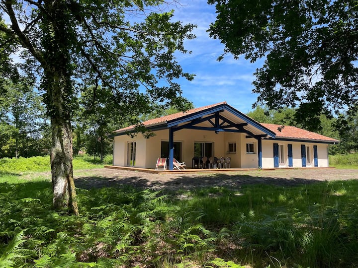 Maison Au Coeur De La Fôret - Castets