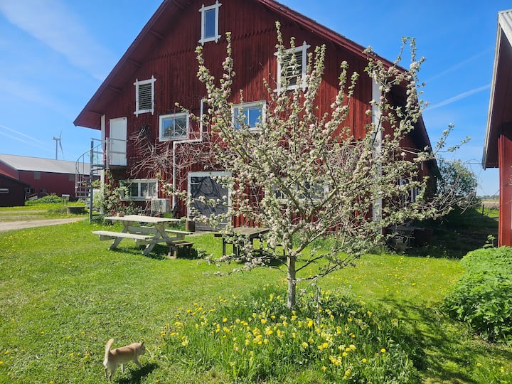Ladan - Vadstena