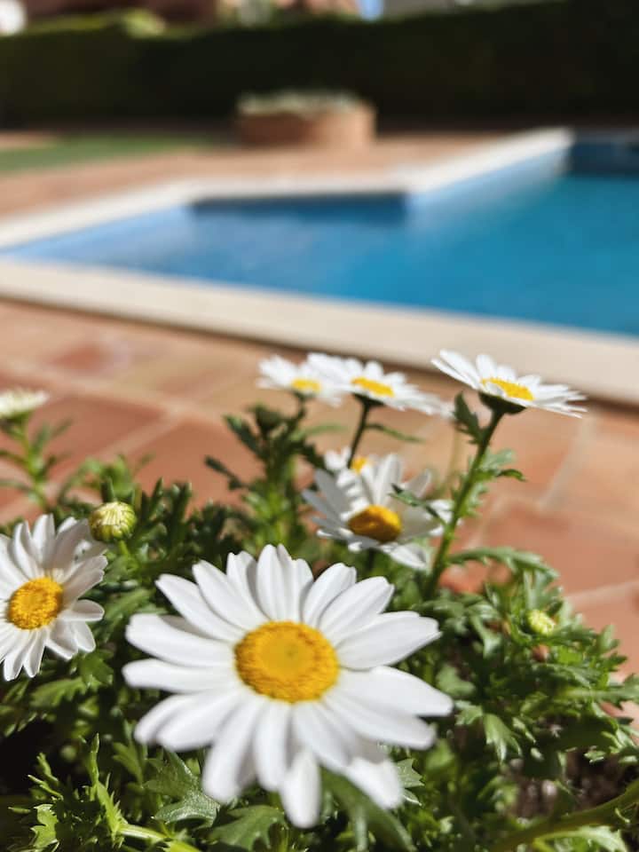 Spacious And Peaceful Family Home - Altafulla