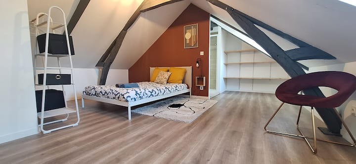 Grande Maison Familiale Avec Jardin à Rouen - Rouen