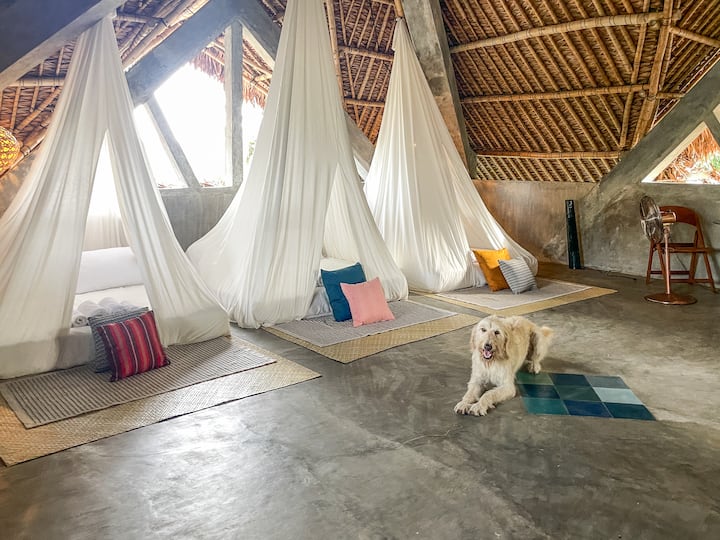 Baia Nest Main House Turingan Loft Near The Beach! - Gubat