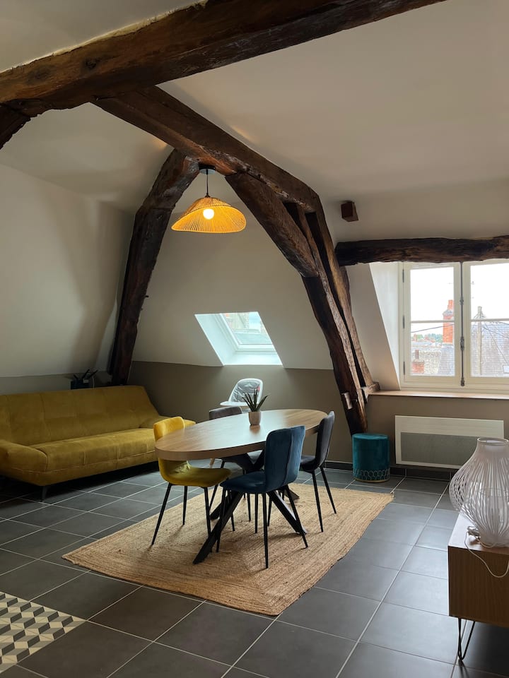 Quai De Loire, Blois – T3 Tout Confort - Blois