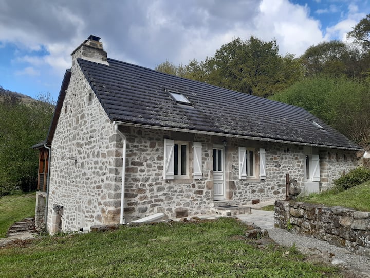 Gîte Dans Le Cantal
(A La Forge Des Rêves) - Bort-les-Orgues