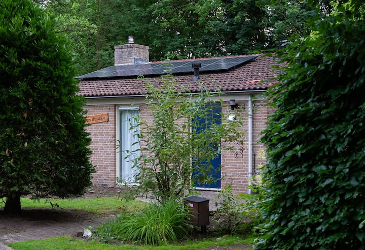 5 Pers. Bungalow Met Grote Tuin In Bosrijk Gebied - Borculo