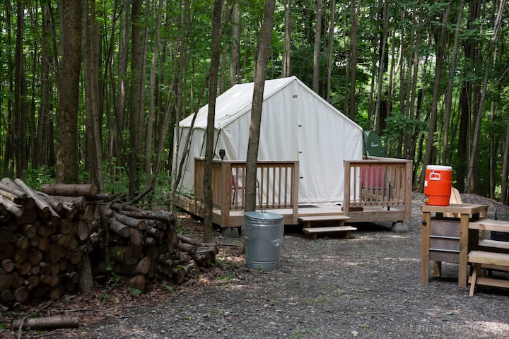 Strawberryhill Camps-simplistic - Cooperstown